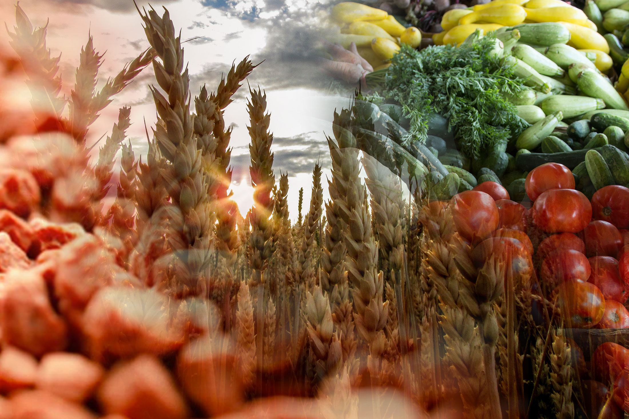 Growing Forward Together - Encanto Potash Corp.